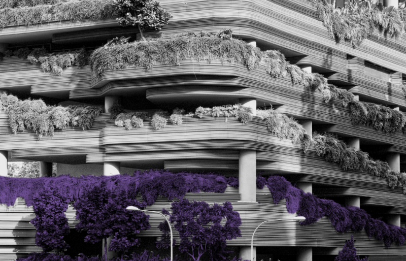 Community-Centric Design: How Psy-Arch Shapes Vibrant Neighborhoods ...